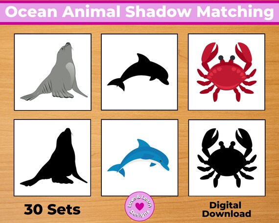Ocean Animals Shadow Matching Cards Printable Digital - Etsy