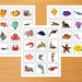 Ocean Animals I Spy Matching Game| Digital Download| Printable Play ...
