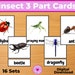 Insects Theme 3 Part Cards Printable Digital Download Montessori ...