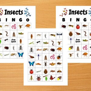 Insects Bingo Digital Download| Printable Play Based Activity ...