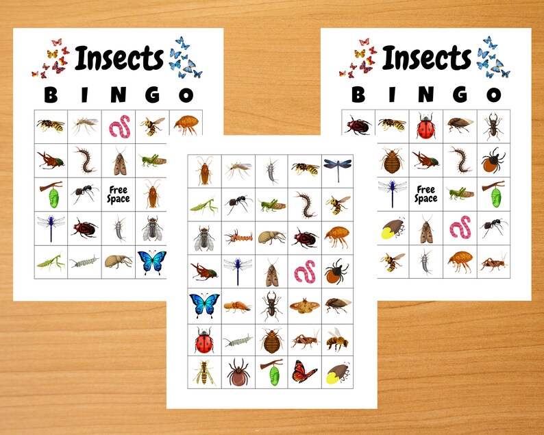 Insects Bingo Digital Download| Printable Play Based Activity ...