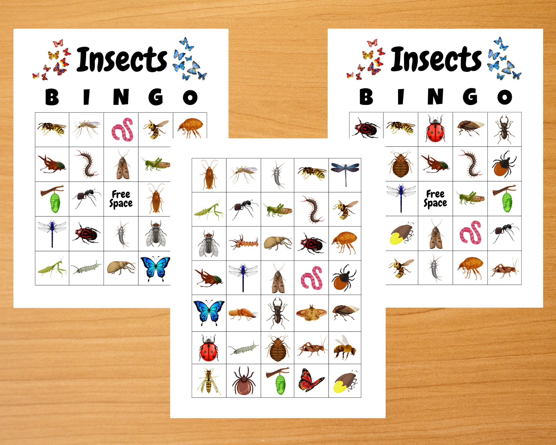 Insects Bingo Digital Download Printable Play Based Activity ...