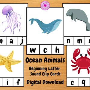Ocean Animals Beginning Letter Sound Clip Cards| Printable Digital ...