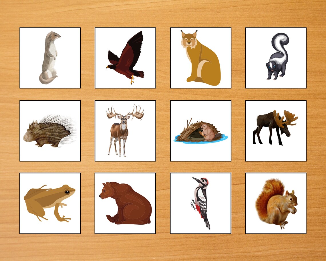 Woodland Animals I Spy Matching Game Digital Download - Etsy