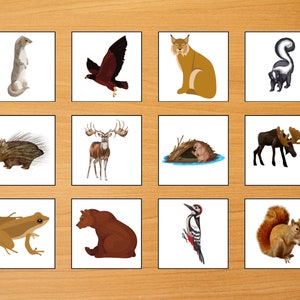 Woodland Animals I Spy Matching Game| Digital Download| Printable Play ...