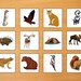 Woodland Animals I Spy Matching Game| Digital Download| Printable Play ...