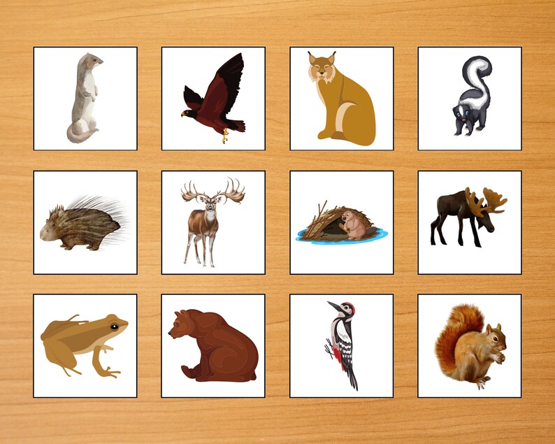 Woodland Animals I Spy Matching Game| Digital Download| Printable Play ...