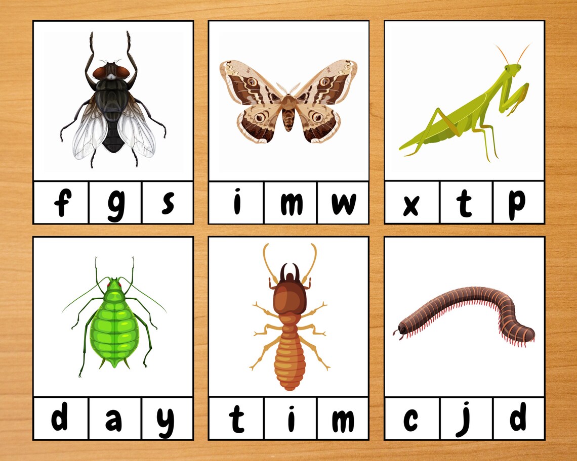 Insect Beginning Letter Sound Clip Cards| Printable Digital Download ...