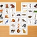 Woodland Animals I Spy Matching Game| Digital Download| Printable Play ...