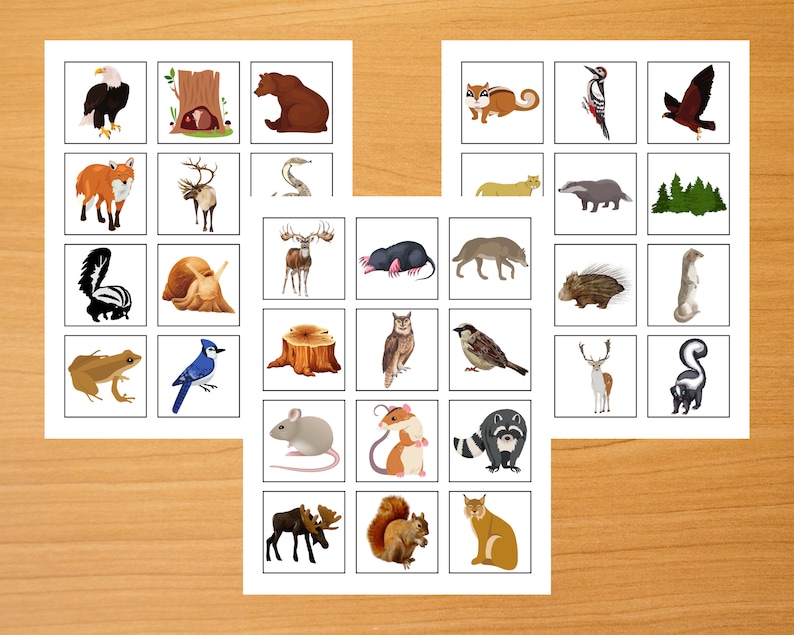 Woodland Animals I Spy Matching Game| Digital Download| Printable Play ...