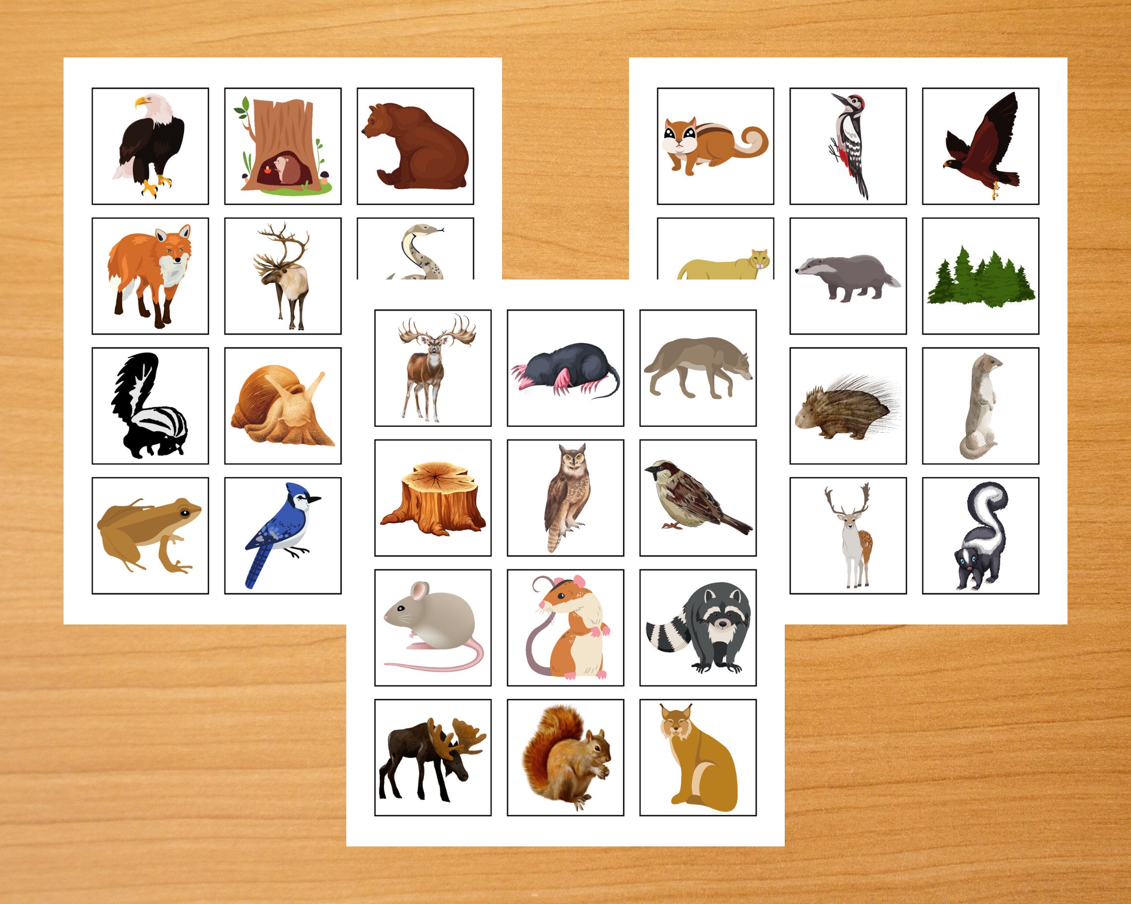 Woodland Animals I Spy Matching Game Digital Download - Etsy