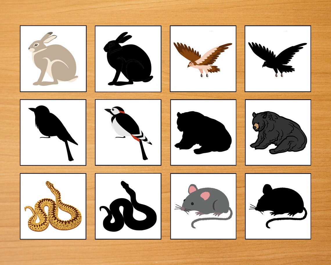 Woodland Animals Shadow Matching Cards| Child Inspired Printables ...