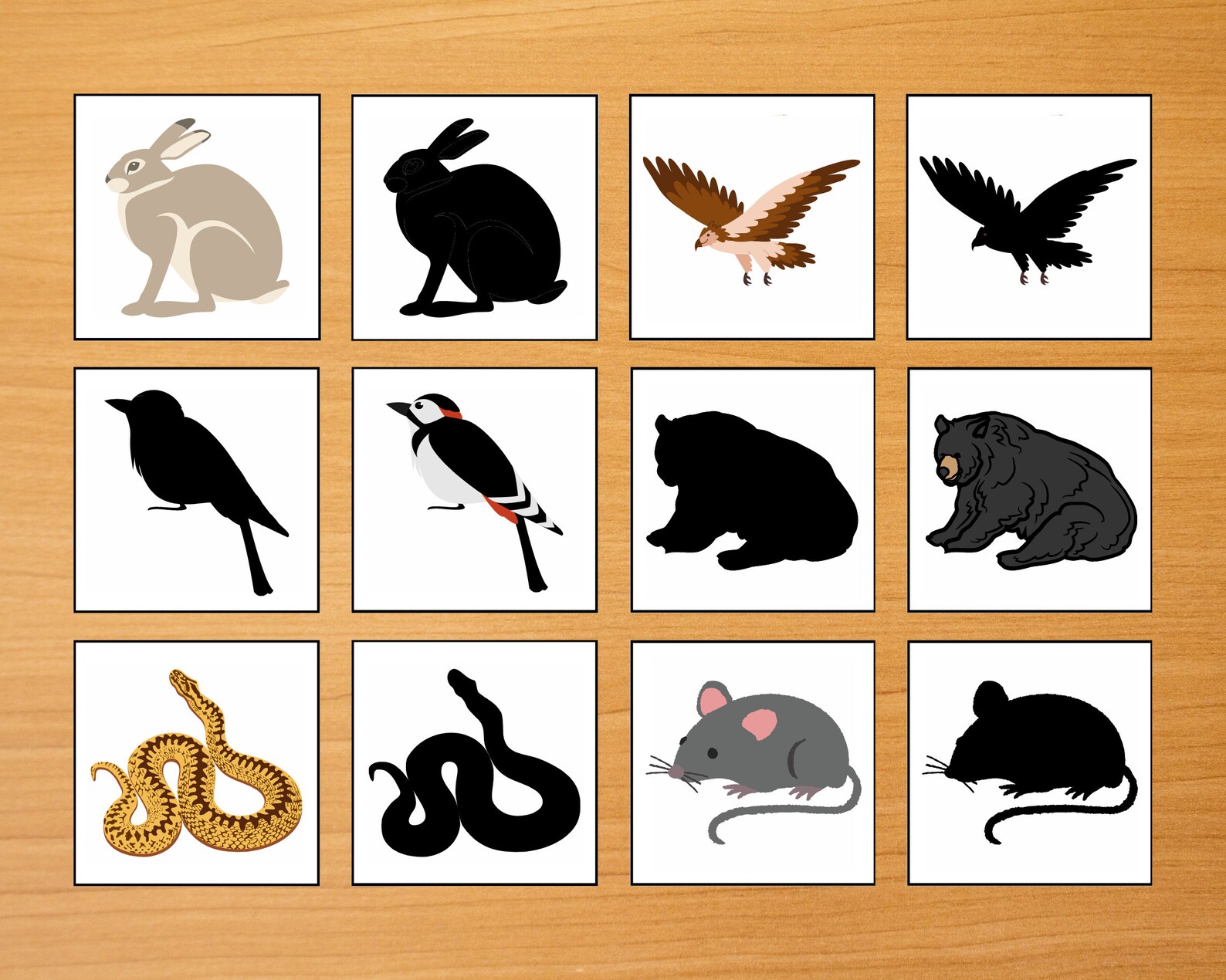Woodland Animals Shadow Matching Cards| Child Inspired Printables ...