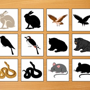 Woodland Animals Shadow Matching Cards| Child Inspired Printables ...