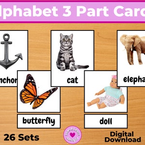 A-Z Alphabet Words 3 Part Cards| Child Inspired Printable| Digital ...