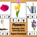 Flowers Beginning Letter Sound Clip Cards| Printable Digital Download ...