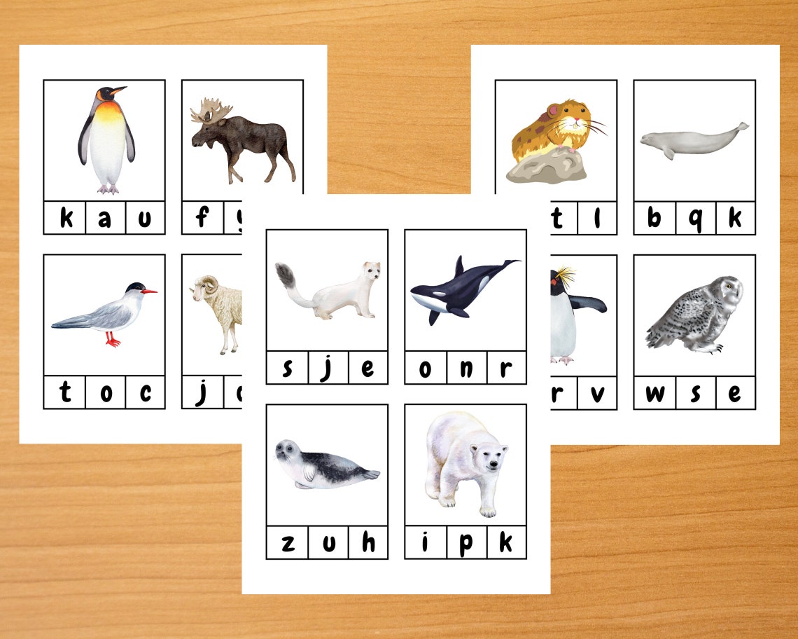 Polar Animals Beginning Letter Sound Clip Cards| Child Inspired ...