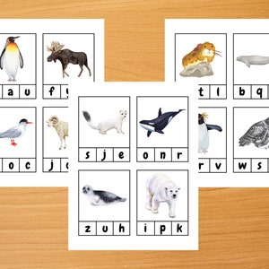 Polar Animals Beginning Letter Sound Clip Cards| Child Inspired ...