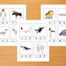 Polar Animals Beginning Letter Sound Clip Cards| Child Inspired ...