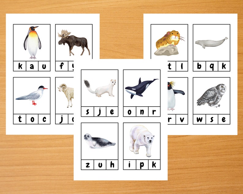 Polar Animals Beginning Letter Sound Clip Cards| Child Inspired ...