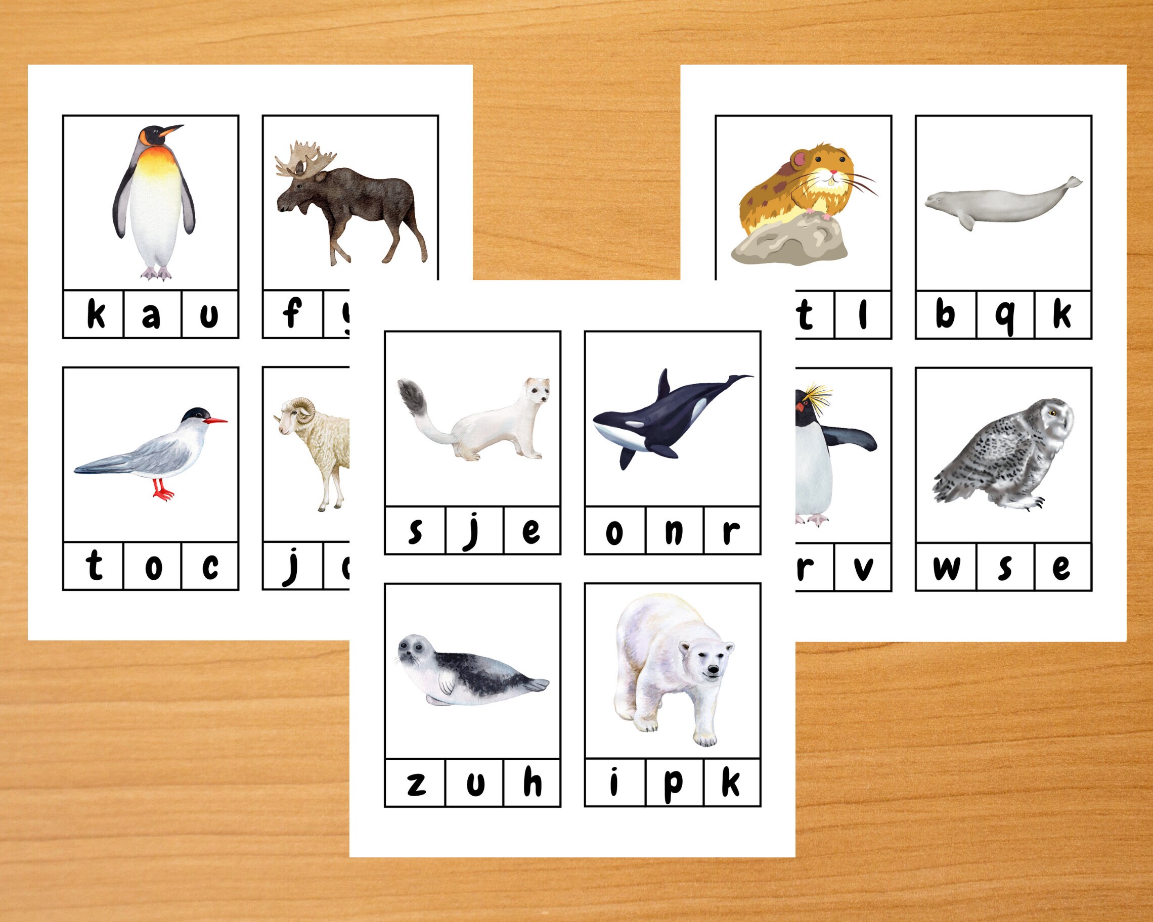 Polar Animals Beginning Letter Sound Clip Cards| Child Inspired ...