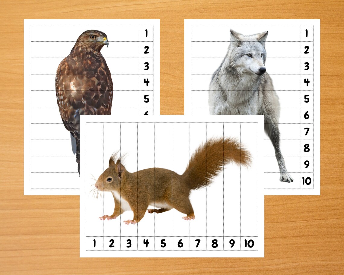 Woodland Animals Number Sequence Puzzles| Child Inspired Printables ...