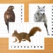 Woodland Animals Number Sequence Puzzles| Child Inspired Printables ...