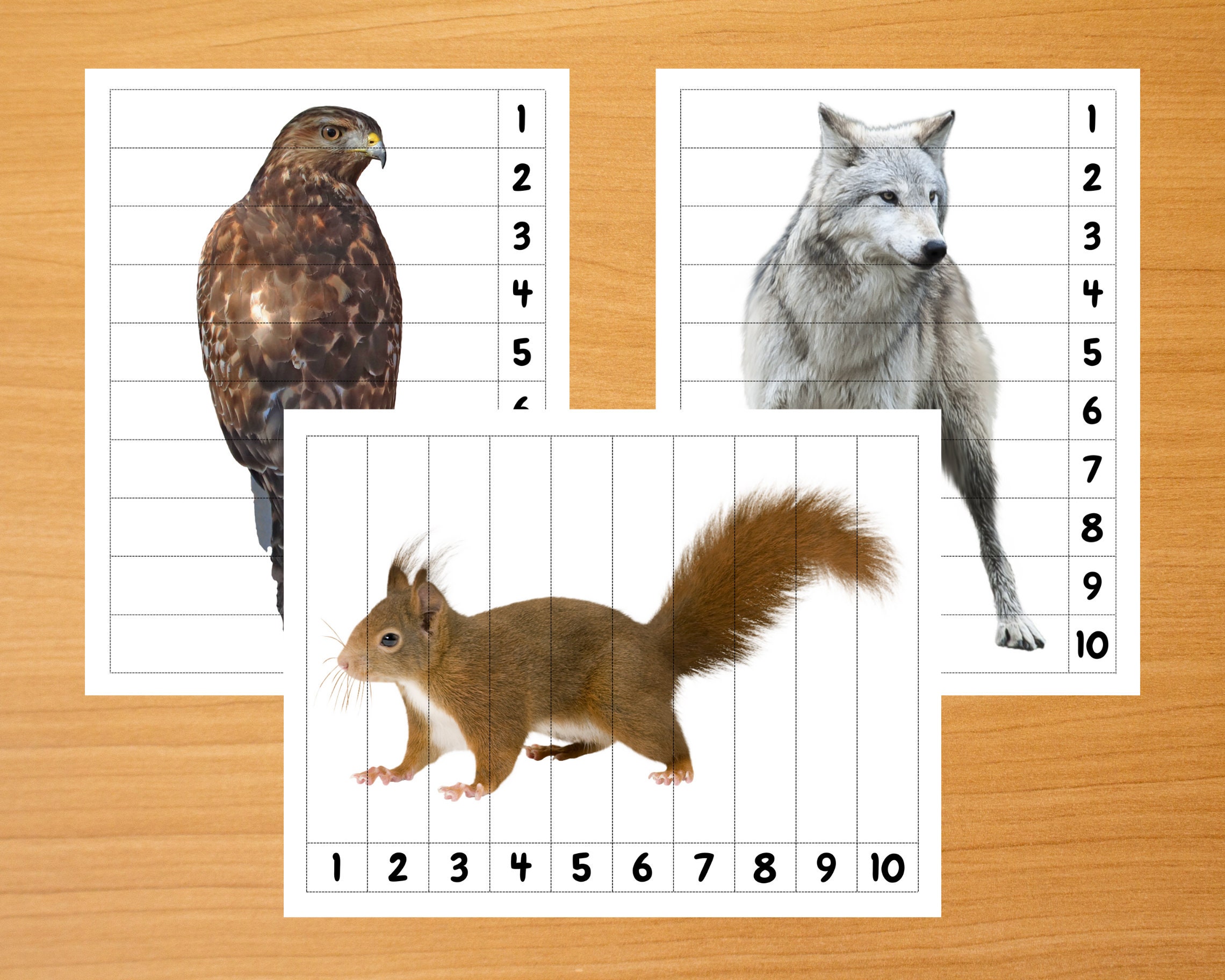 Woodland Animals Number Sequence Puzzles| Child Inspired Printables ...