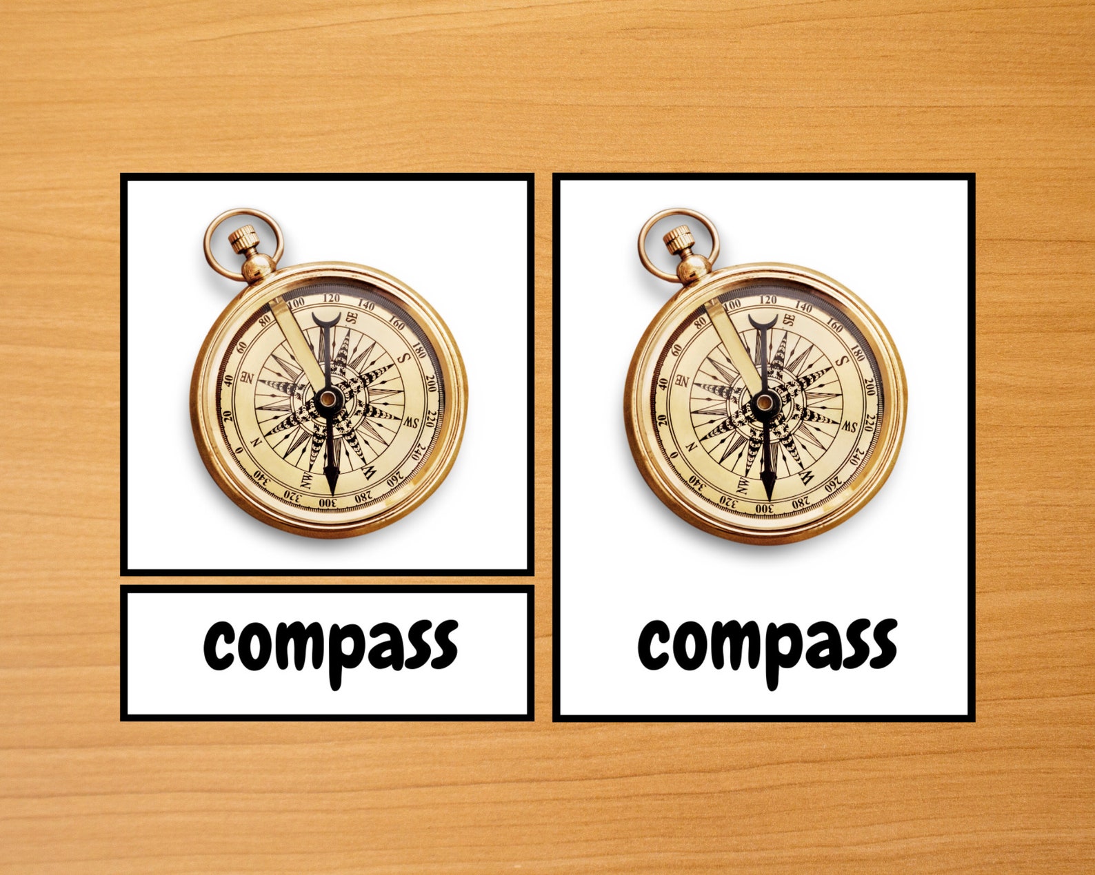 Camping Theme 3 Part Cards| Printable Digital Download| Montessori ...