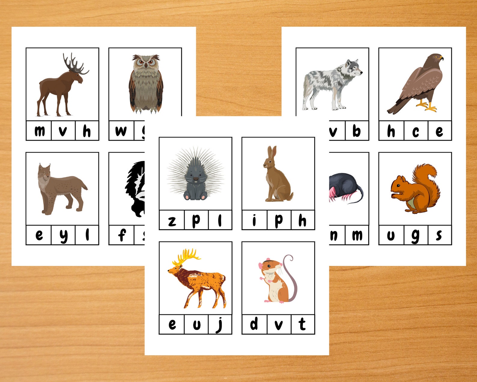 Woodland Animal Beginning Letter Sound Clip Cards Printable Digital ...