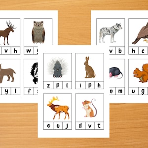 Woodland Animal Beginning Letter Sound Clip Cards| Printable Digital ...