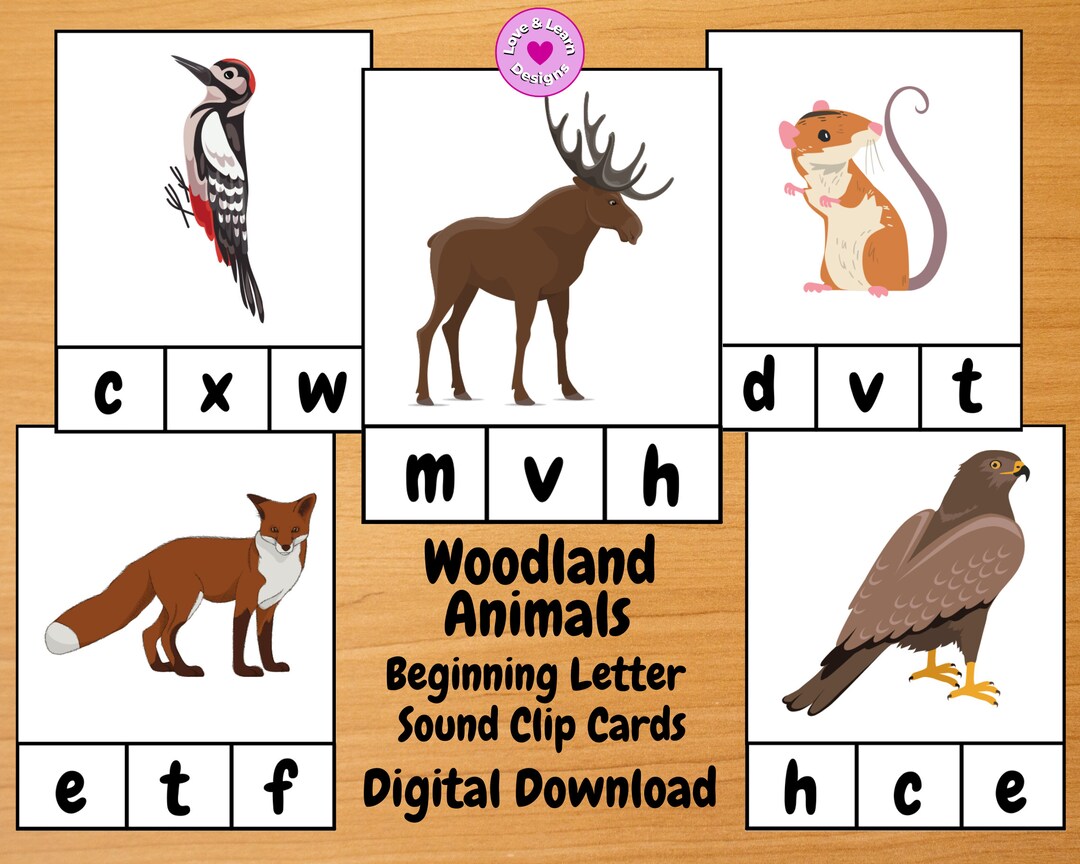 Woodland Animal Beginning Letter Sound Clip Cards| Printable Digital ...