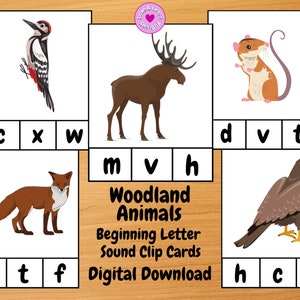 Woodland Animal Beginning Letter Sound Clip Cards| Printable Digital ...