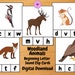 Woodland Animal Beginning Letter Sound Clip Cards| Printable Digital ...