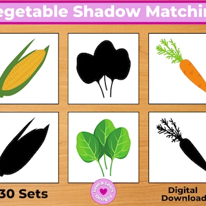 Vegetables Shadow Matching Cards Printable Digital Download| Montessori ...