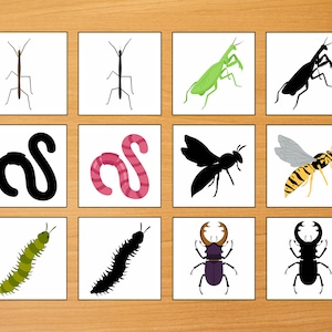 Insect Shadow Matching Cards Printable Digital Download - Etsy