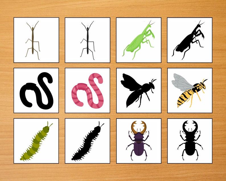 Insect Shadow Matching Cards Printable Digital Download| Montessori ...