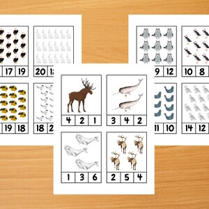 Polar Animals Count and Clip Cards| Child Inspired Printables|math ...