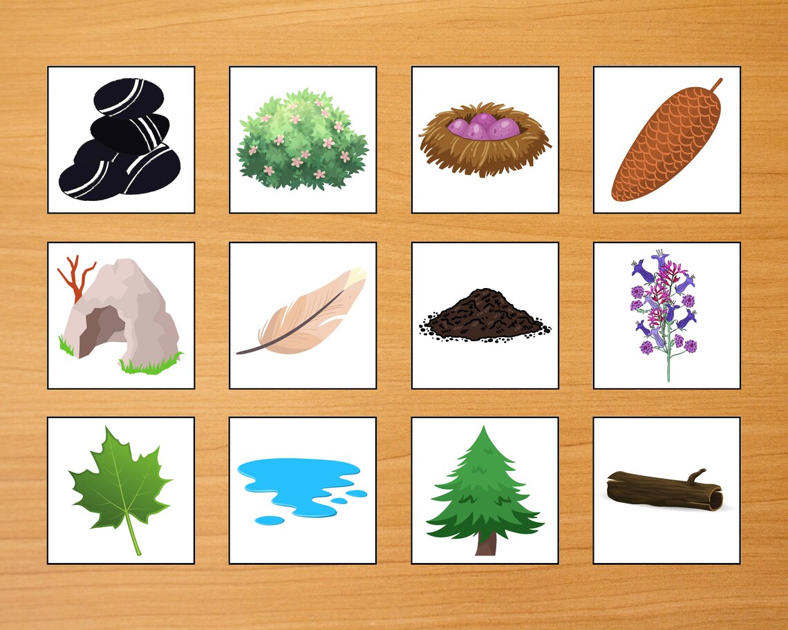 Nature I Spy Matching Game| Digital Download| Printable Play Based ...