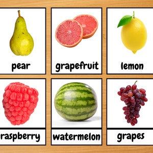 Fruits Theme 3 Part Cards| Printable Digital Download| Montessori ...