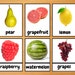Fruits Theme 3 Part Cards| Printable Digital Download| Montessori ...