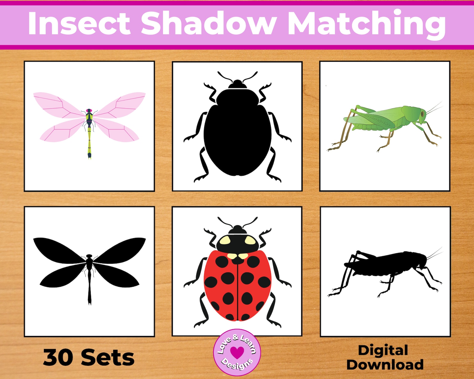 Insect Shadow Matching Cards Printable Digital Download| Montessori ...