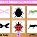 Insect Shadow Matching Cards Printable Digital Download Montessori ...