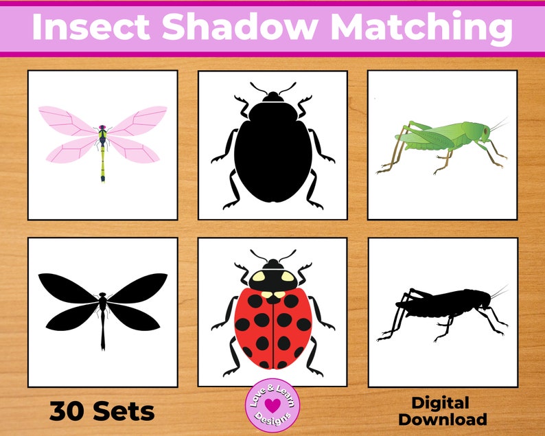 Insect Shadow Matching Cards Printable Digital Download| Montessori ...