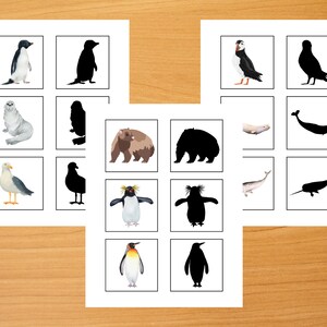 Polar Animals Shadow Matching Cards| Child Inspired Printables| Digital ...