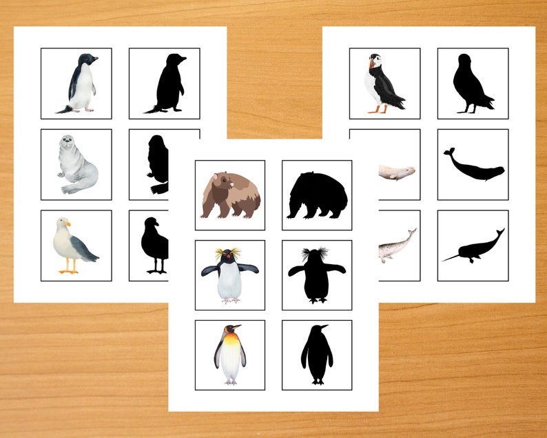 Polar Animals Shadow Matching Cards| Child Inspired Printables| Digital ...