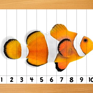 Ocean Animals Number Sequence Puzzles| Child Inspired Printables ...