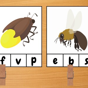 Insect Beginning Letter Sound Clip Cards| Printable Digital Download ...