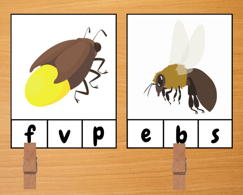 Insect Beginning Letter Sound Clip Cards| Printable Digital Download ...