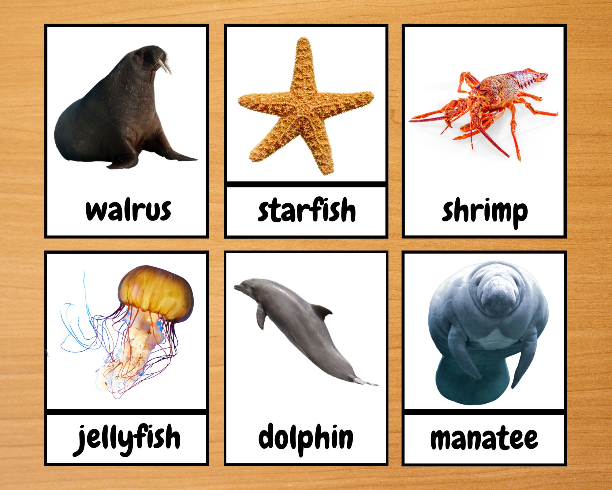 Ocean Animals Theme 3 Part Cards| Printable Digital Download ...